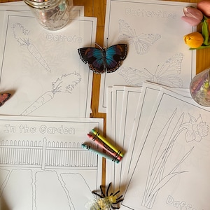 Garden Unit: Science Pack - Etsy