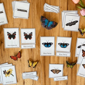 Butterfly Unit Bundle - Etsy