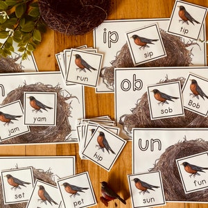 Robin Mini Study - Etsy