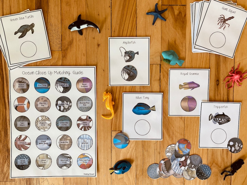 Ocean Unit: Science Pack - Etsy