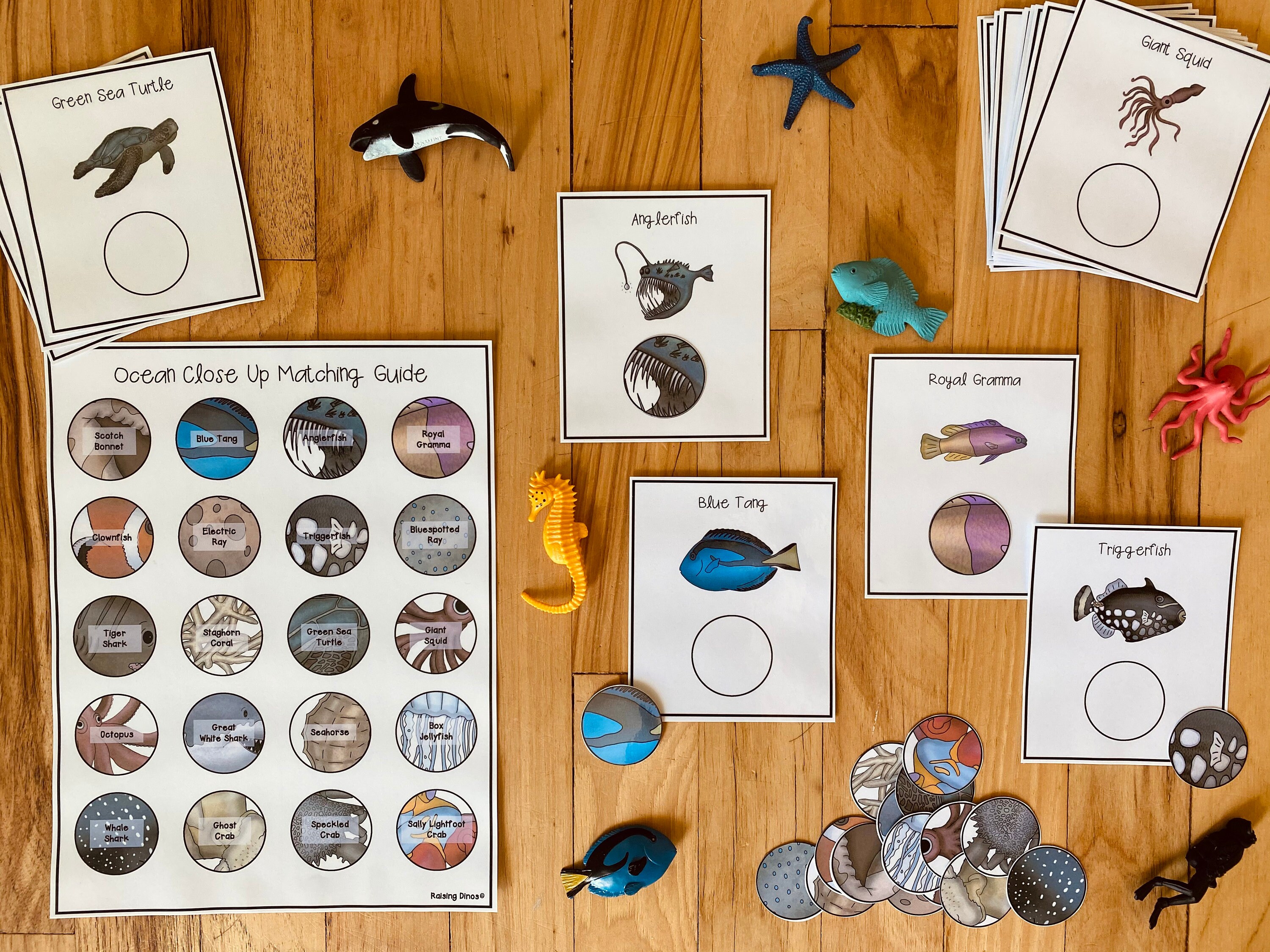 Ocean Unit: Science Pack | Etsy