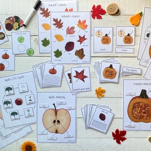 Fall Unit: Science Pack - Etsy