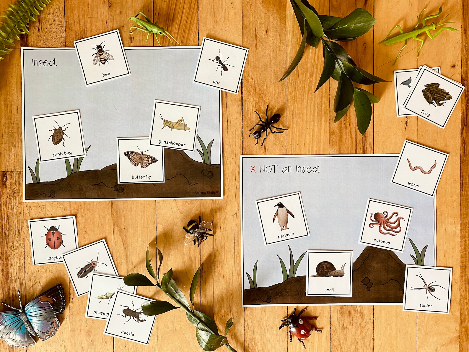 Bug Unit: Science Pack - Etsy