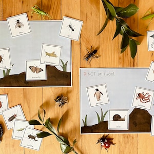 Bug Unit: Science Pack - Etsy