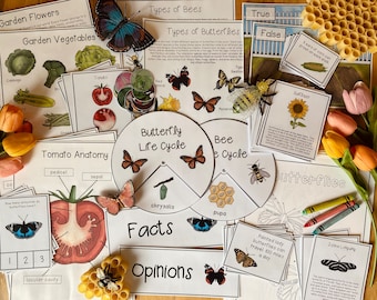 Butterfly Unit: Science Pack (Download Now) - Etsy