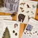 Winter Forest Unit: Science Pack - Etsy