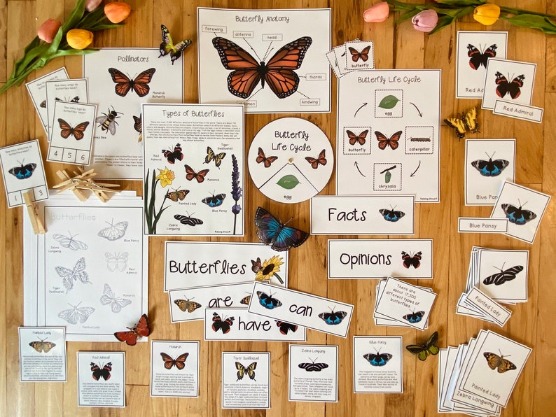 Butterfly Unit Bundle - Etsy