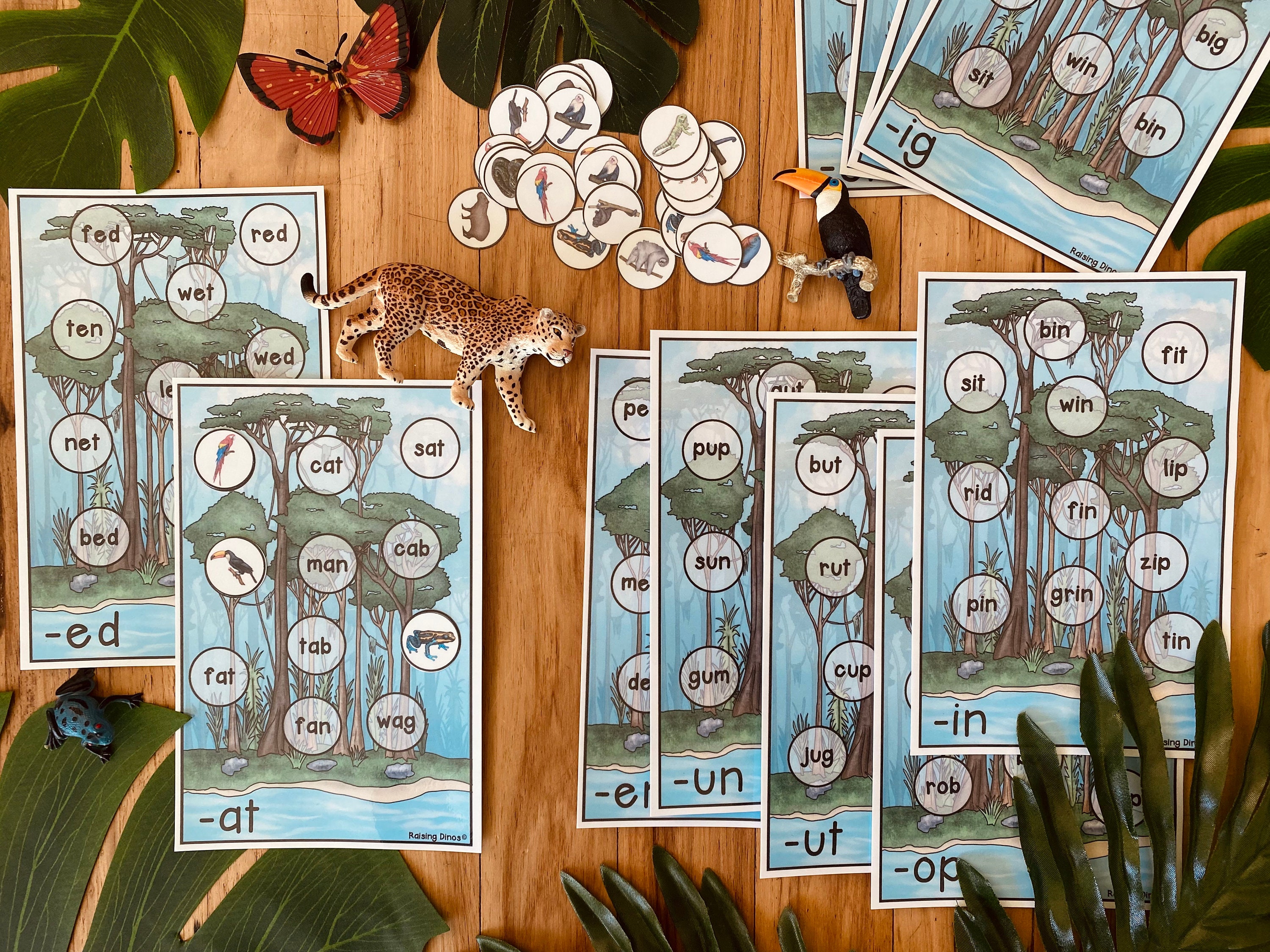 Rainforest Unit: Literacy Pack - Etsy