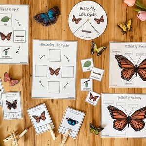 Butterfly Unit: Science Pack - Etsy