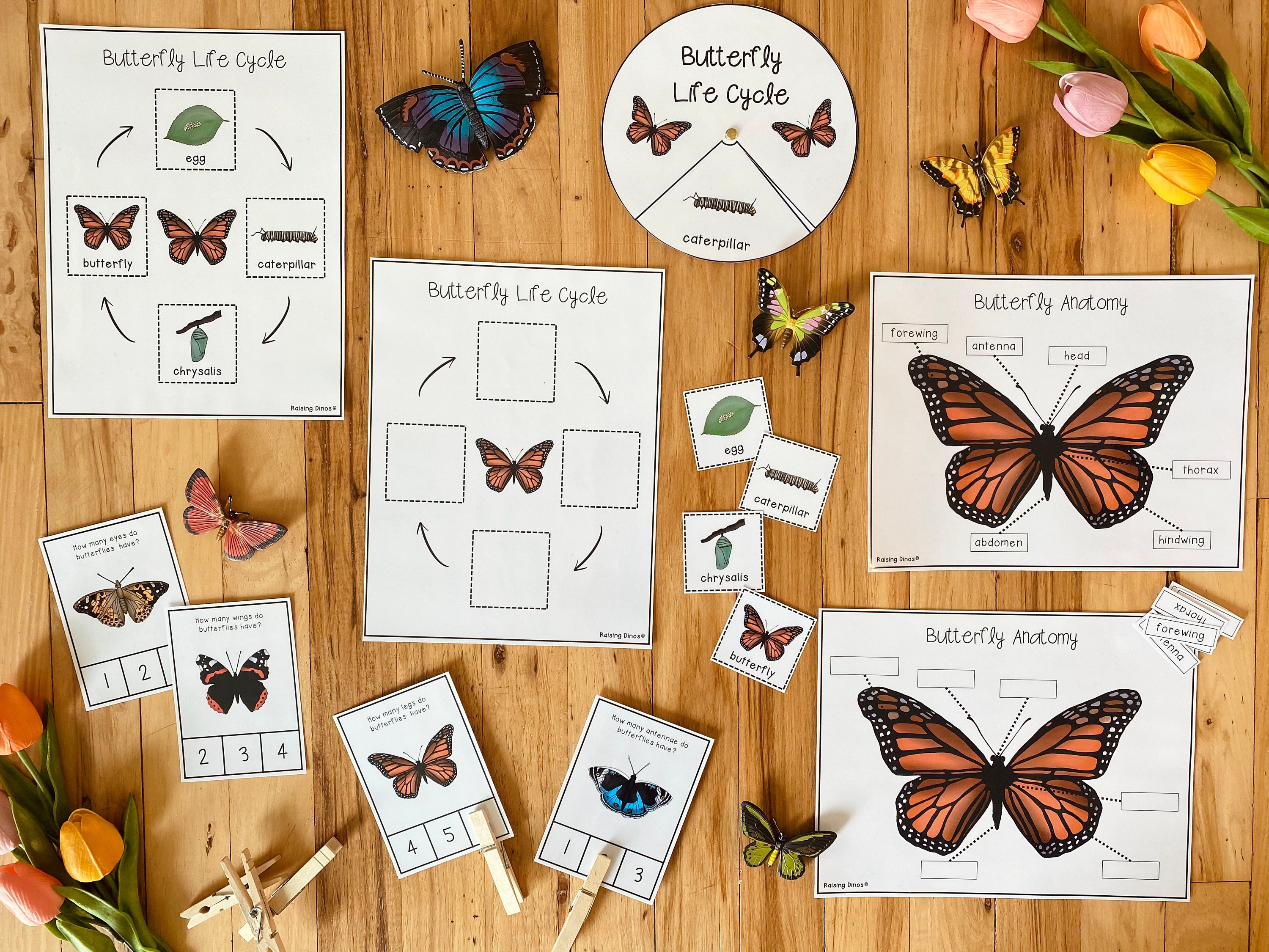 Butterfly Unit: Science Pack - Etsy