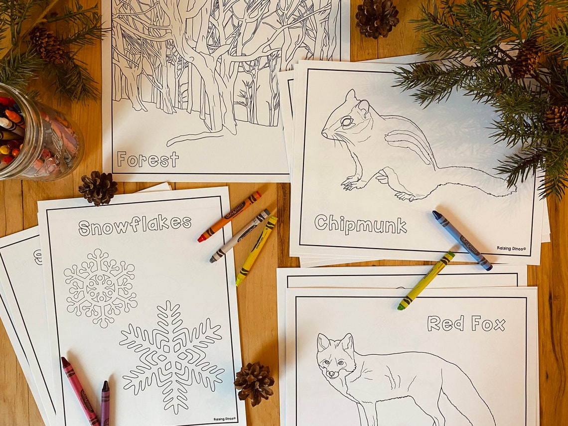 Winter Forest Unit: Science Pack - Etsy