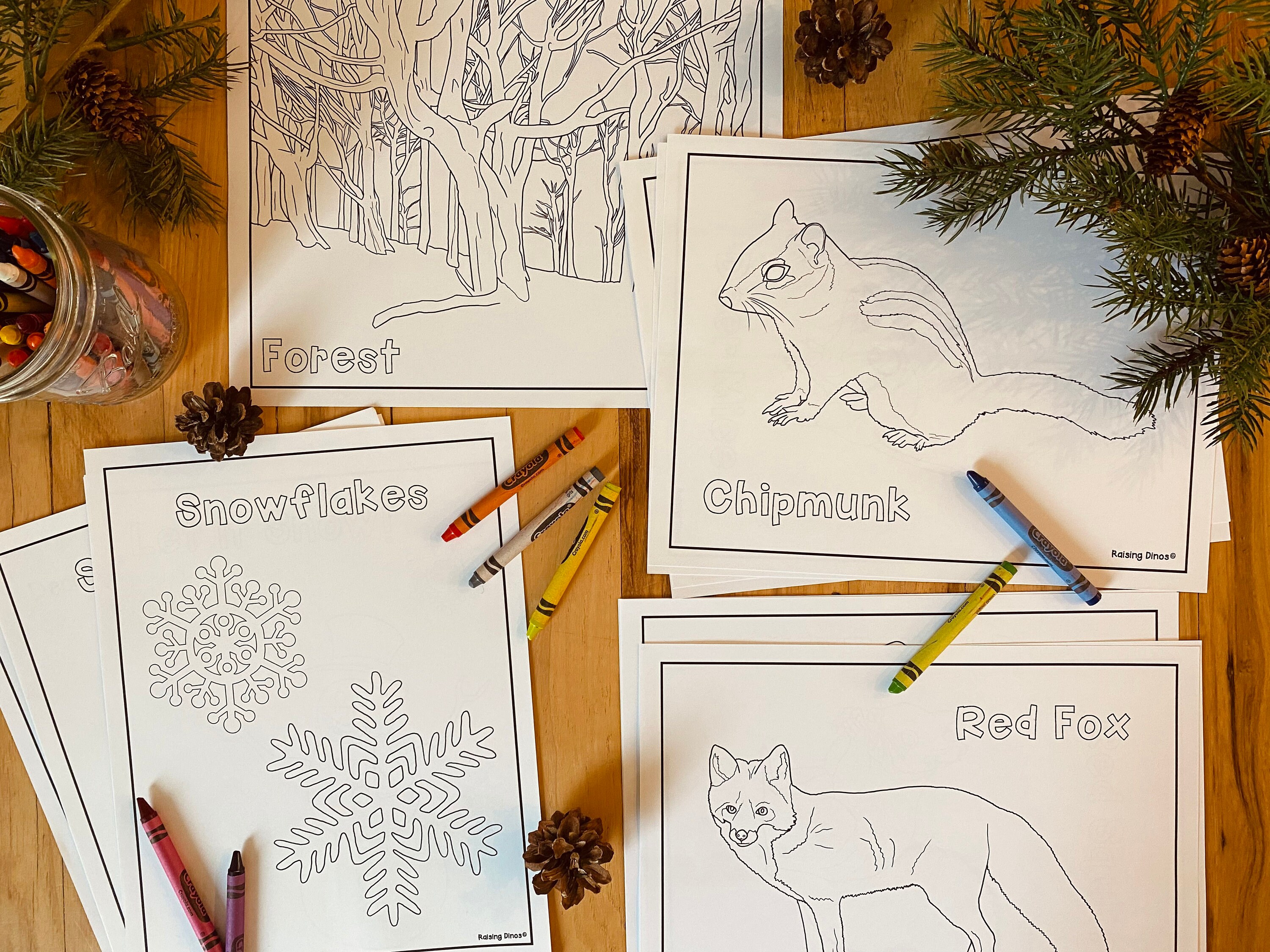 Winter Forest Unit: Science Pack - Etsy
