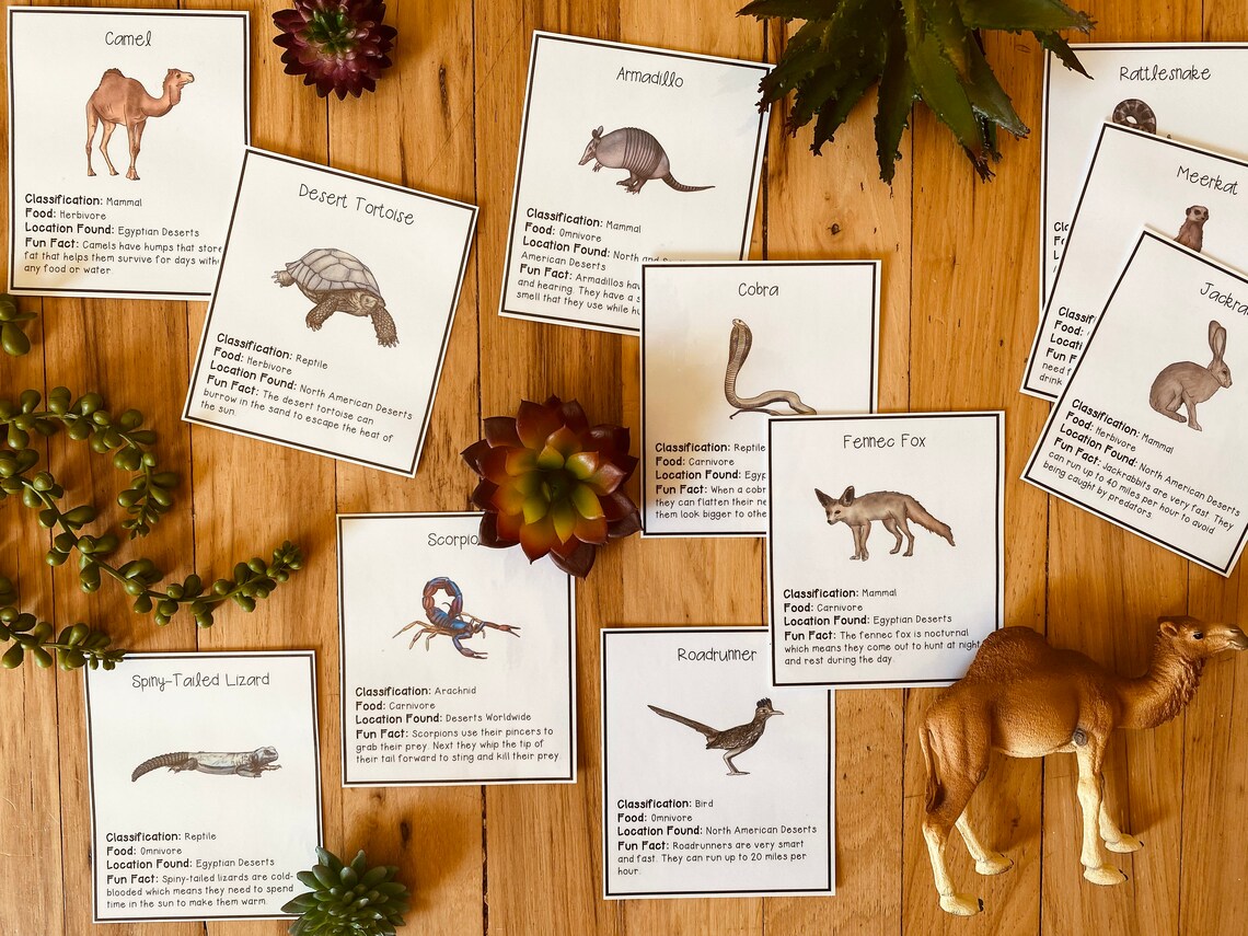 Desert Unit: Science Pack - Etsy