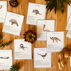 Desert Unit: Science Pack - Etsy