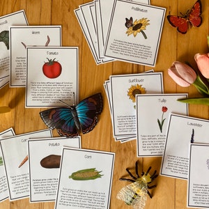 Garden Unit: Science Pack - Etsy