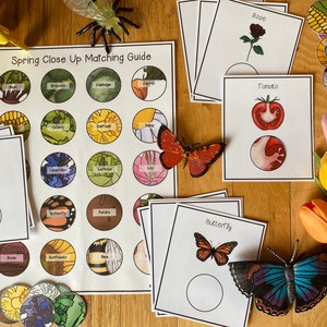 Garden Unit: Science Pack - Etsy