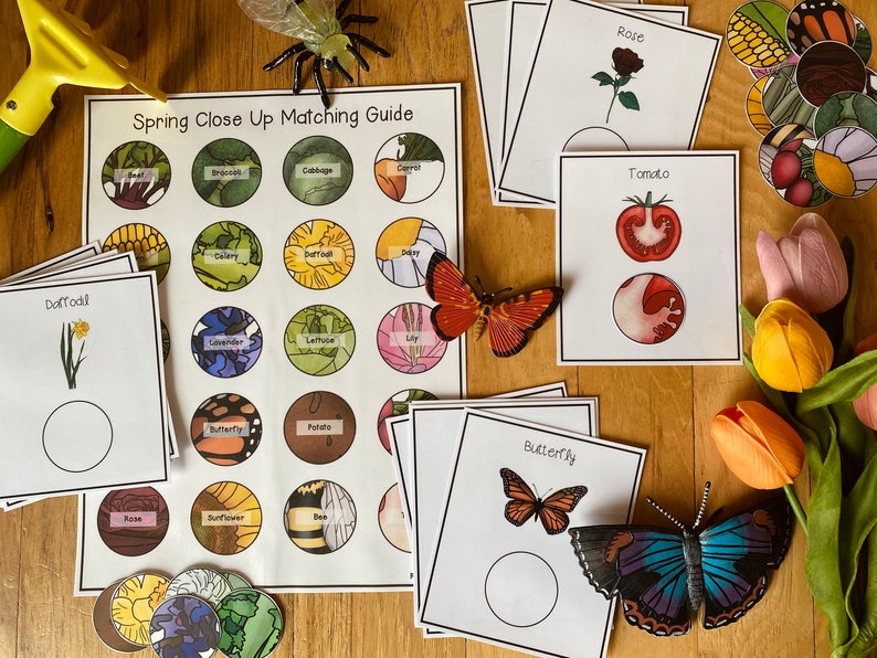 Garden Unit: Science Pack - Etsy
