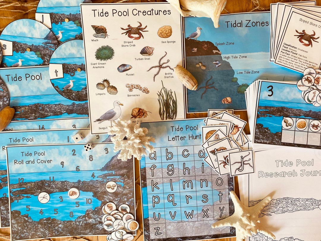 Tide Pool Mini Study - Etsy