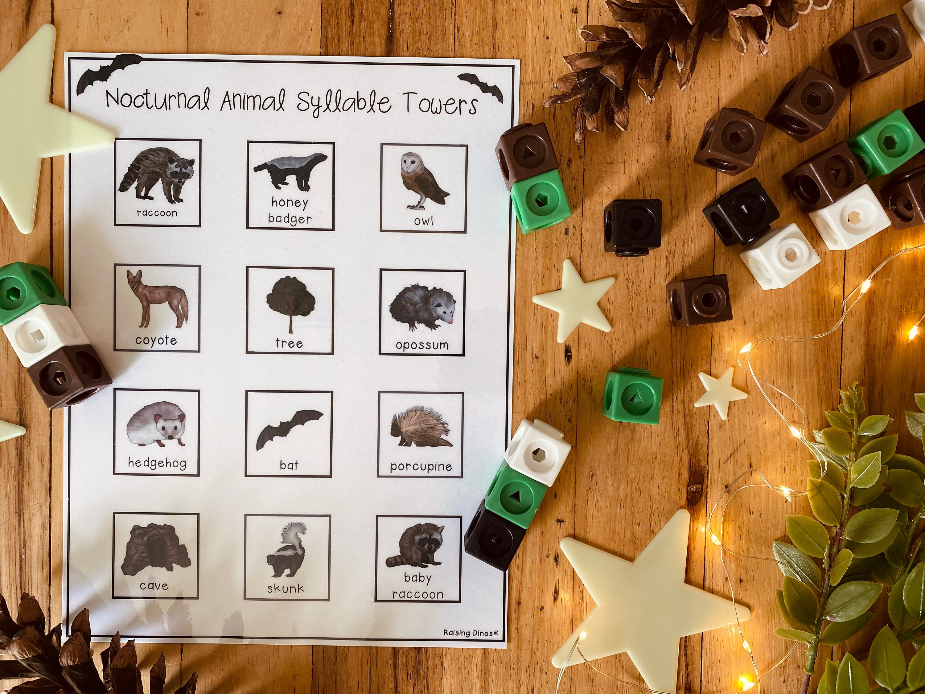Nocturnal Animals Unit: Literacy Pack | Etsy