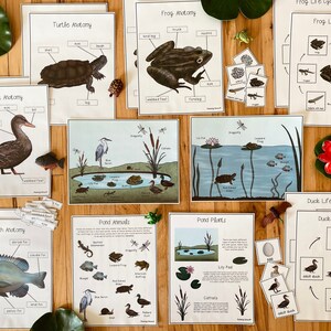 Pond Unit Bundle - Etsy