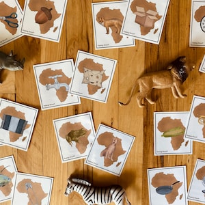 Grassland Animals Unit Bundle - Etsy