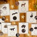 Nocturnal Animals Unit: Science Pack - Etsy