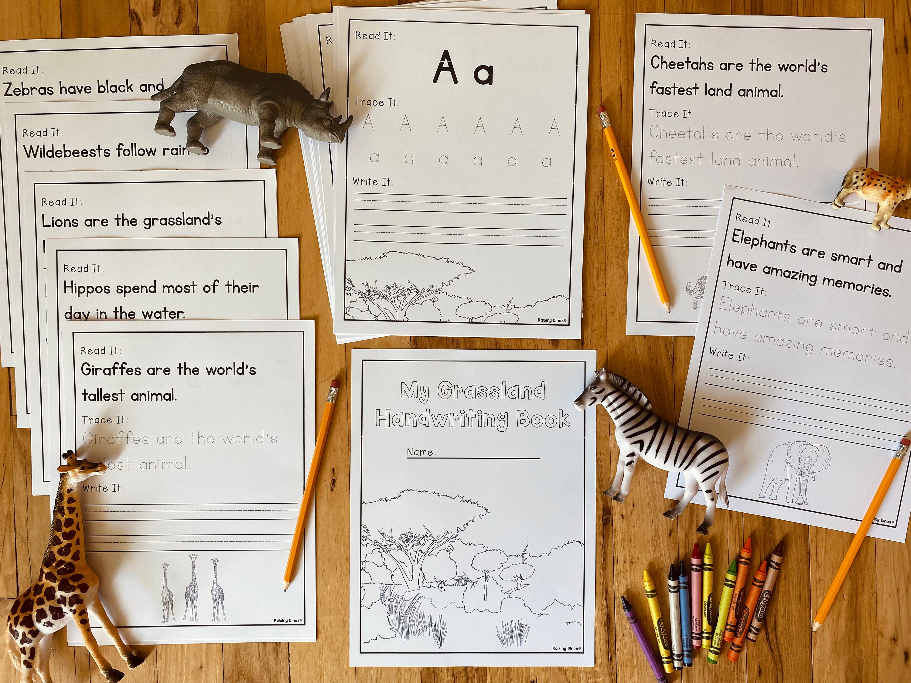 Grassland Animals Unit: Literacy Pack | Etsy