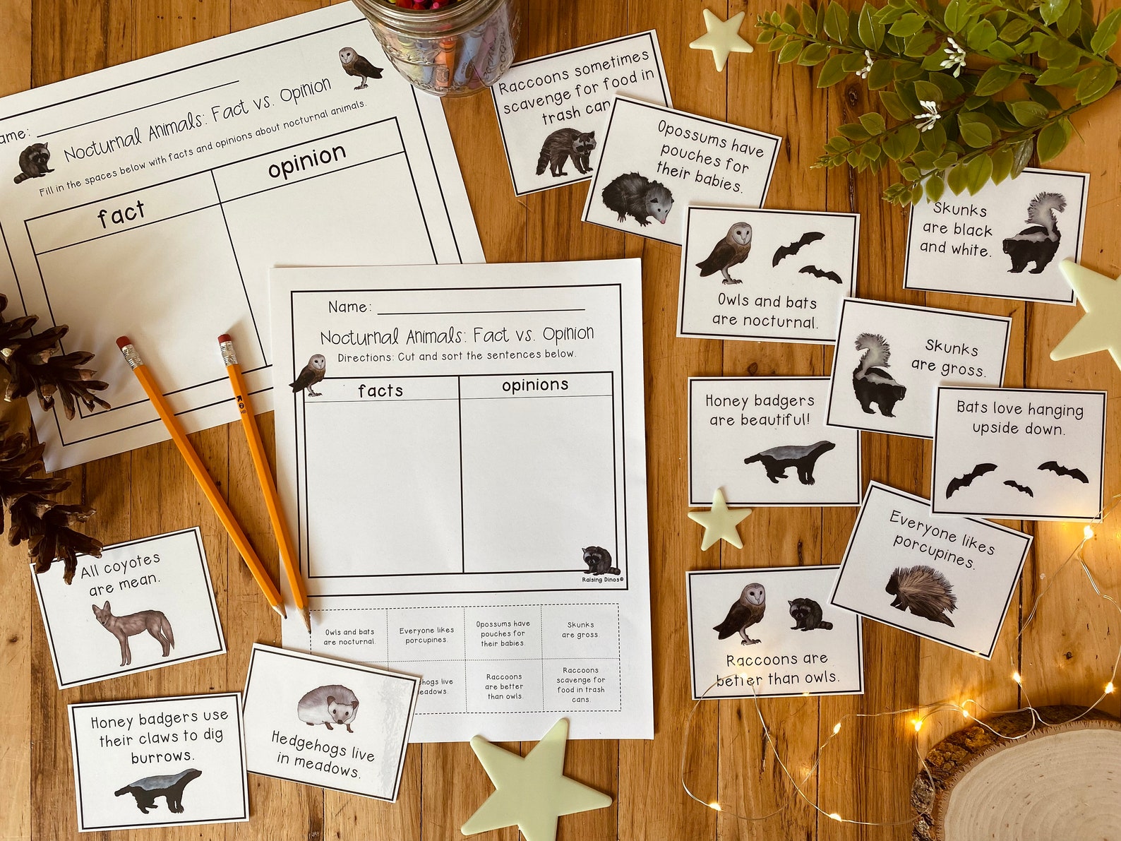 Nocturnal Animals Unit: Science Pack - Etsy