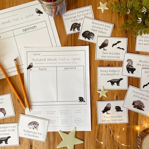 Nocturnal Animals Unit: Science Pack - Etsy