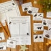 Nocturnal Animals Unit: Science Pack - Etsy