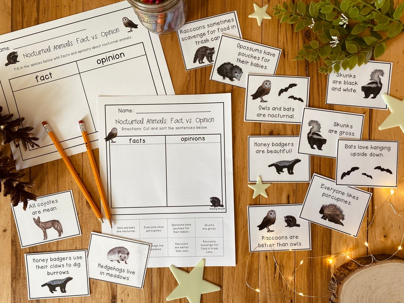 Nocturnal Animals Unit: Science Pack - Etsy