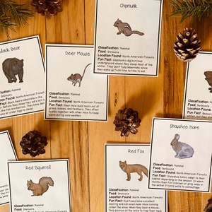 Winter Forest Unit: Science Pack - Etsy