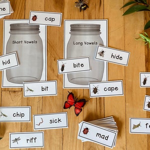 Bug Unit: Literacy Pack - Etsy