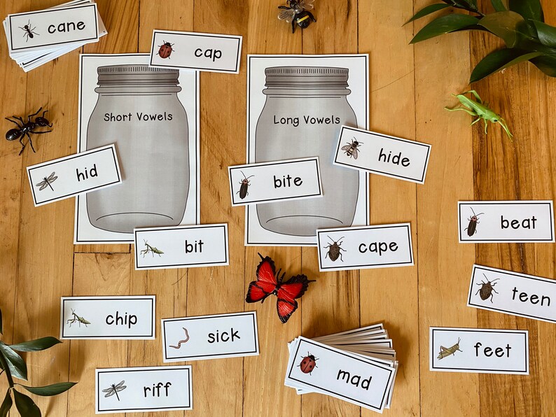 Bug Unit: Literacy Pack | Etsy