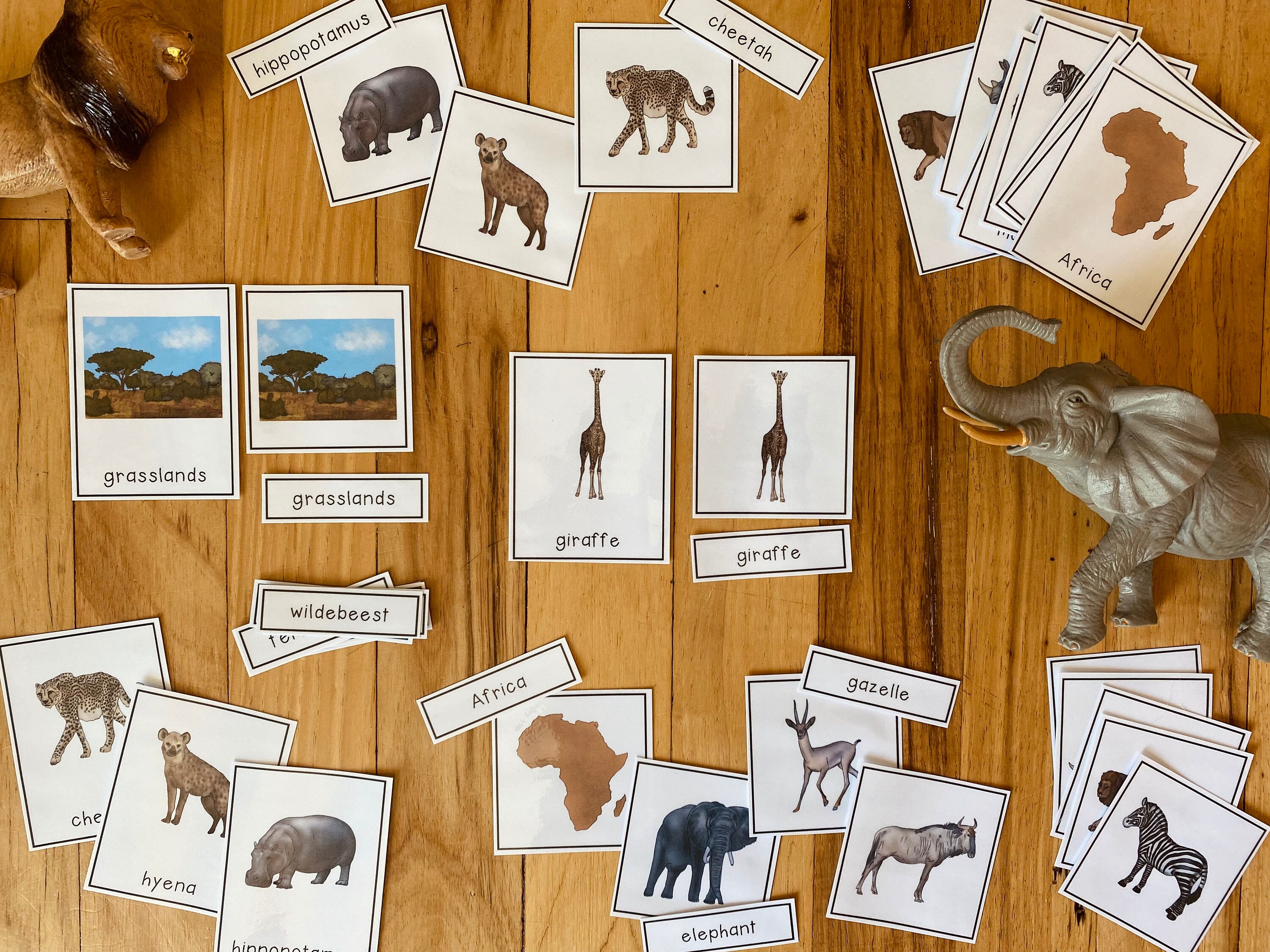 Grassland Animals Unit: Science Pack | Etsy