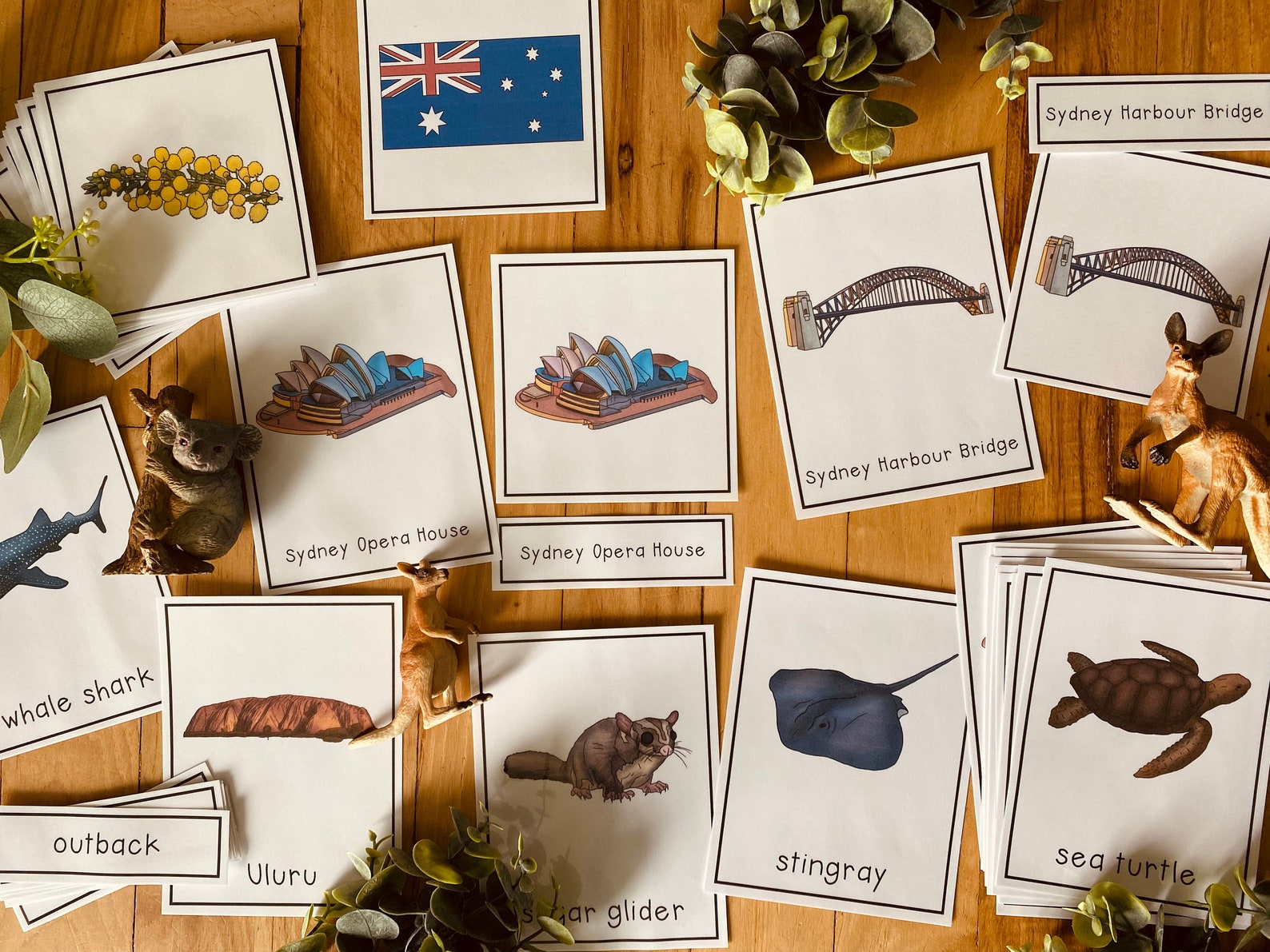 Australia Mini Study - Etsy