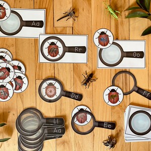 Bug Unit: Literacy Pack - Etsy