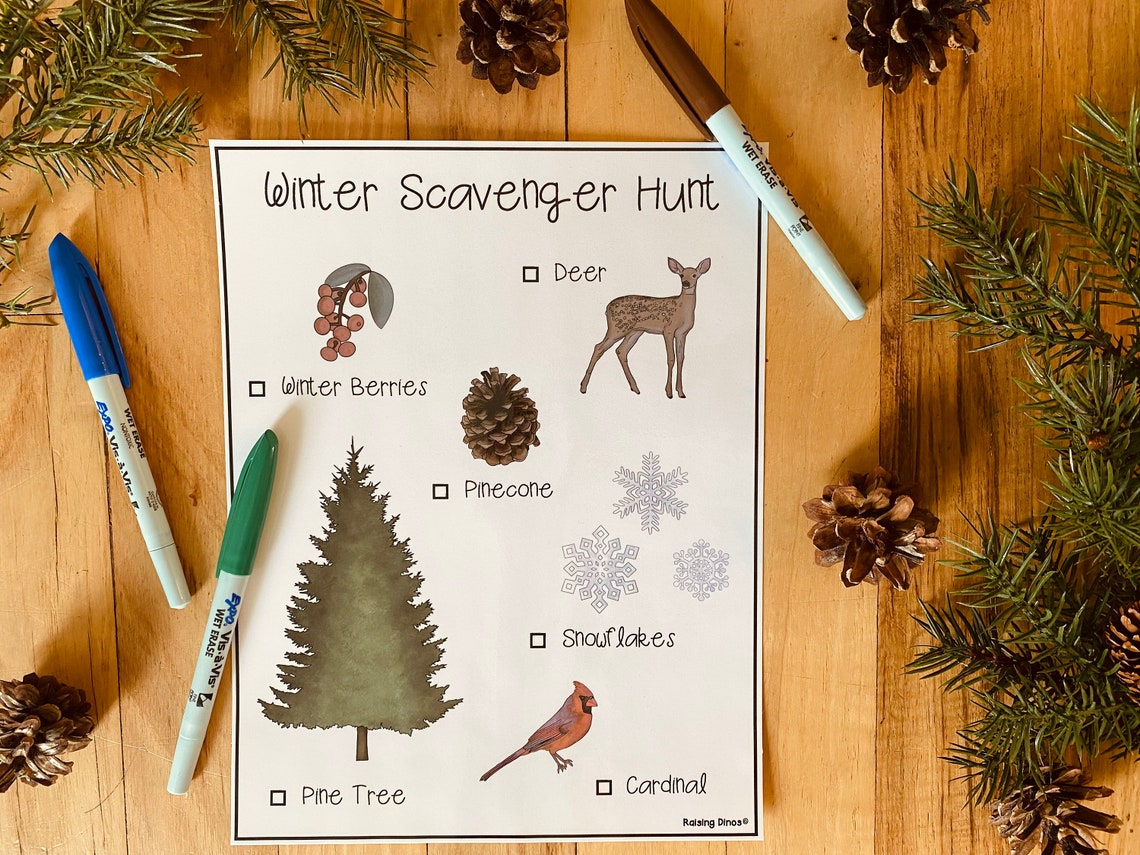 Winter Forest Unit: Science Pack - Etsy
