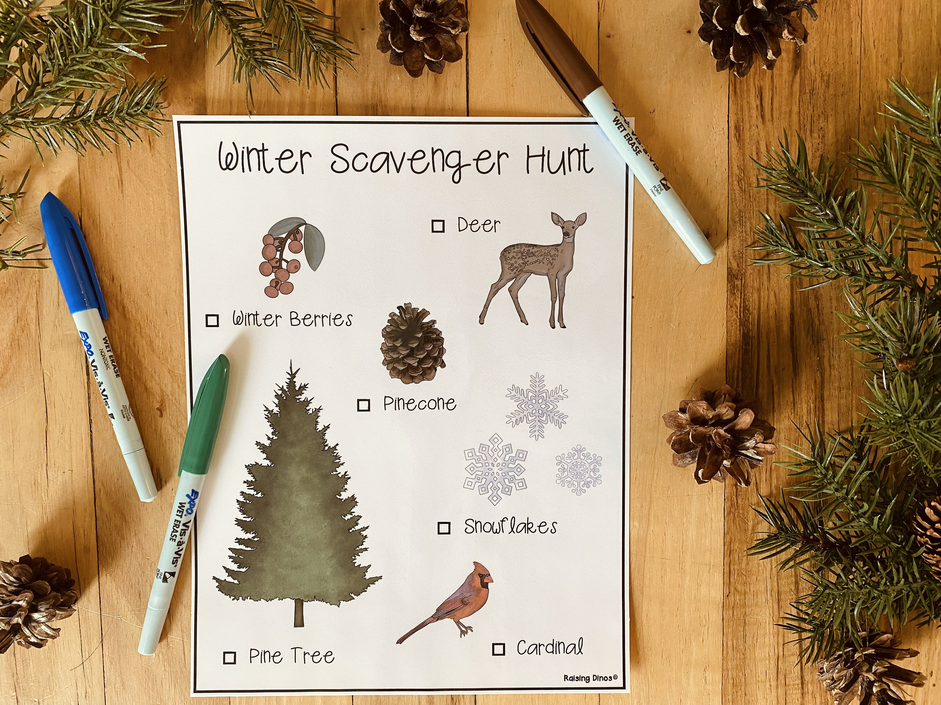 Winter Forest Unit: Science Pack - Etsy