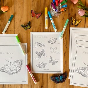 Butterfly Unit Bundle - Etsy