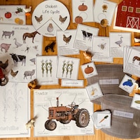 Farm Busy Book,toddler Farm Activities,farm Animal Matching,montessori ...