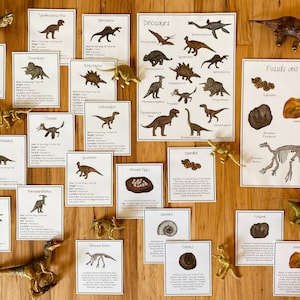 Dinosaur Unit: Science Pack - Etsy