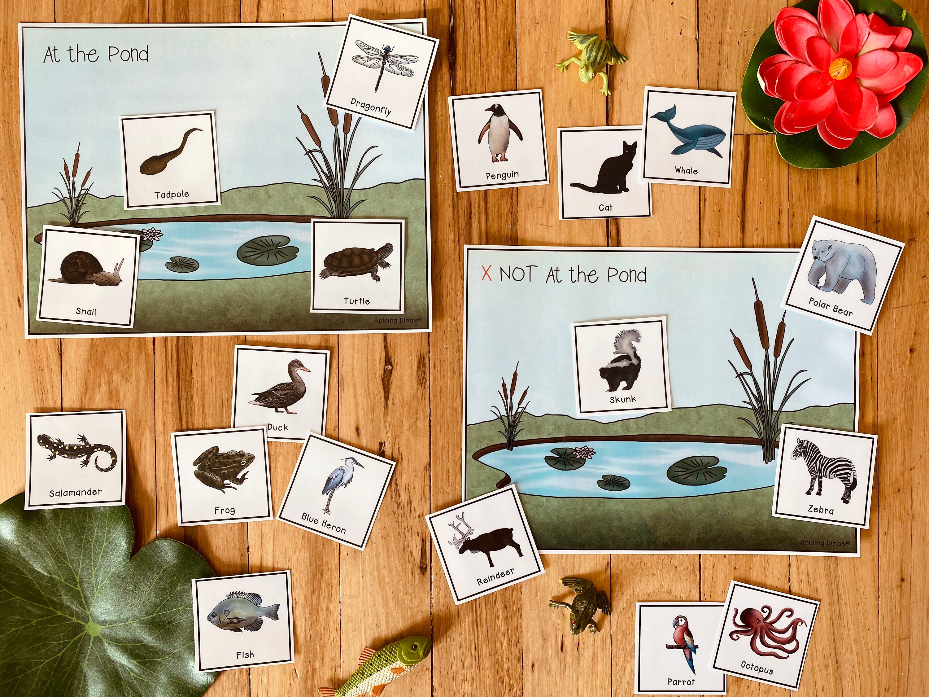 Pond Unit: Science Pack - Etsy