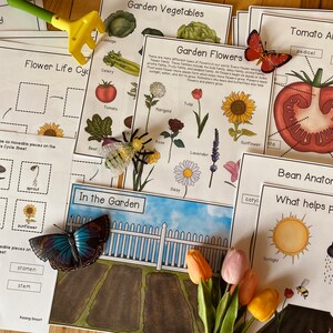 Garden Unit: Science Pack - Etsy