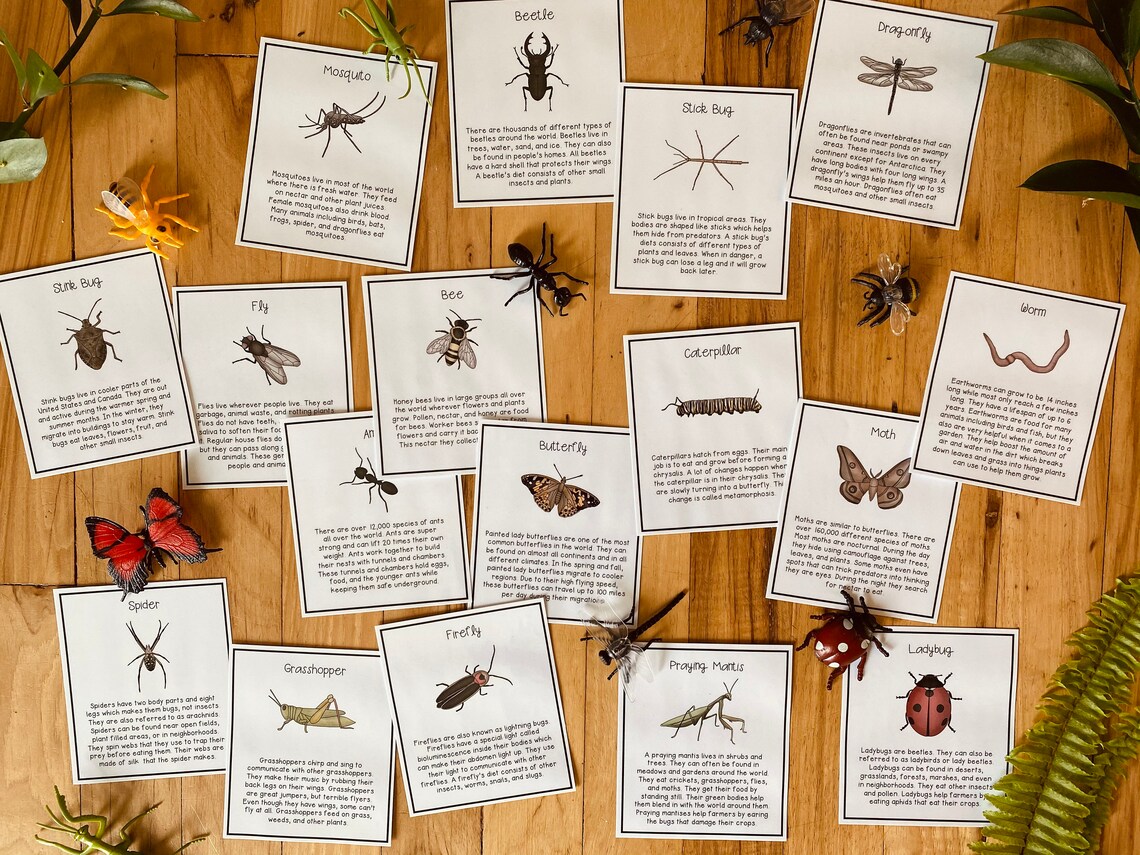 Bug Unit: Science Pack - Etsy Canada