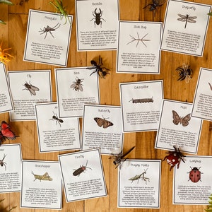 Bug Unit: Science Pack - Etsy