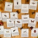 Bug Unit: Science Pack - Etsy