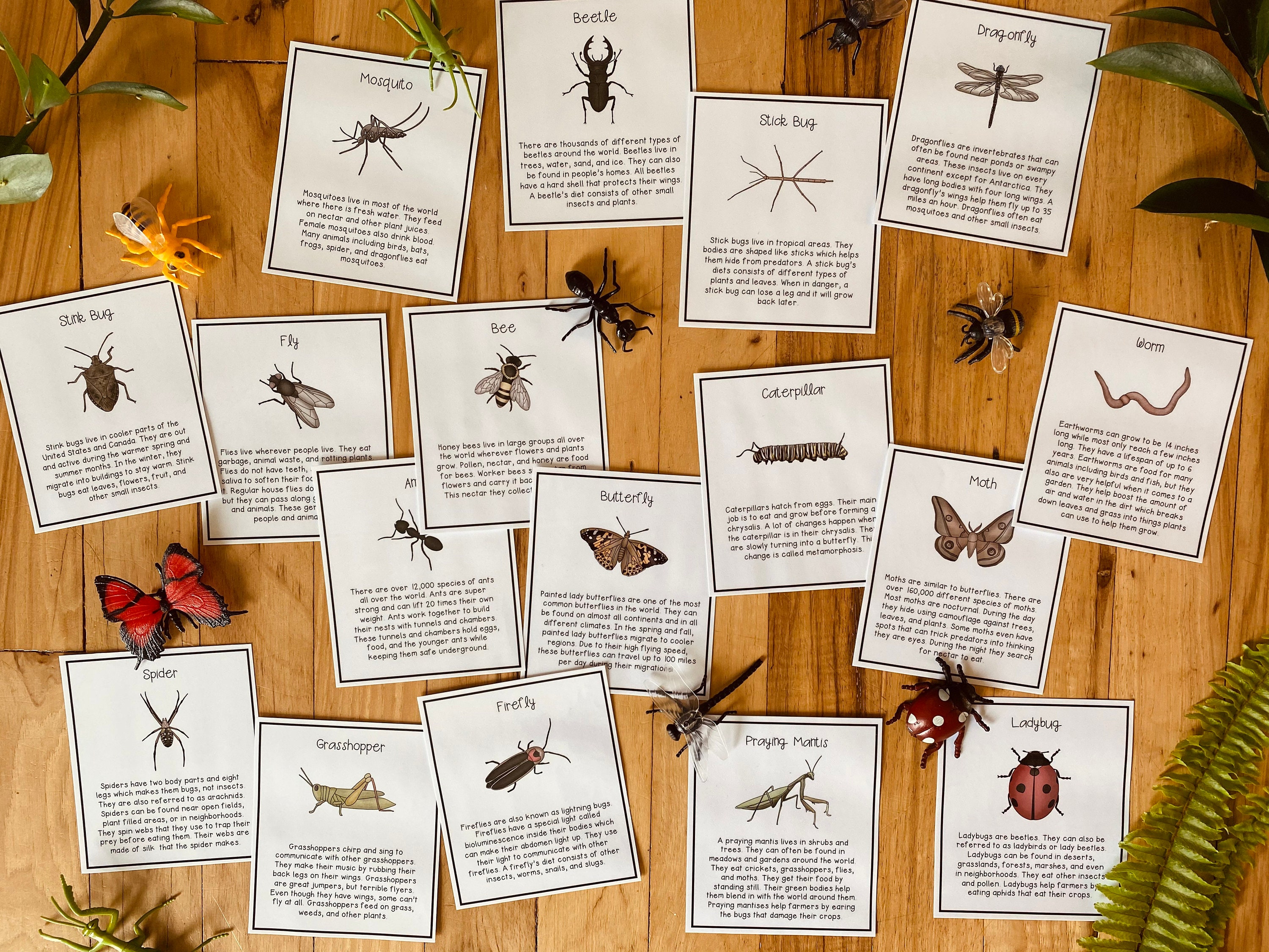 Bug Unit: Science Pack - Etsy