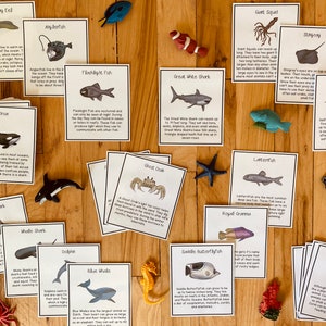 Ocean Unit: Science Pack - Etsy