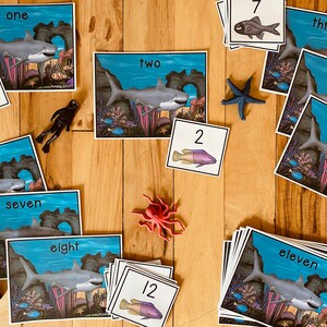 Ocean Unit: Math Pack - Etsy